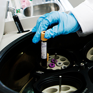 Interpreting Blood Results - MC0015