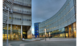 Public Lecture Professor Mark Wetherell