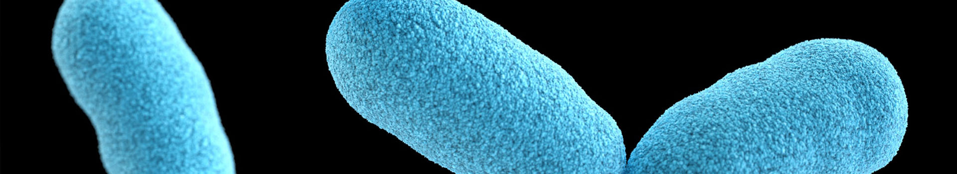 Exploring and Exploiting Microbial Diversity