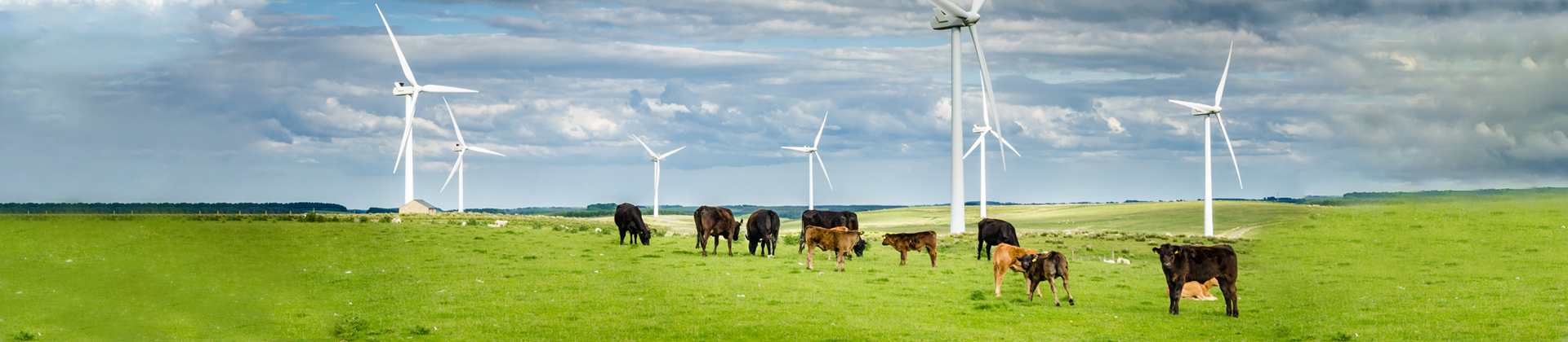 Wind farms and tourism debate in rural Northumberland