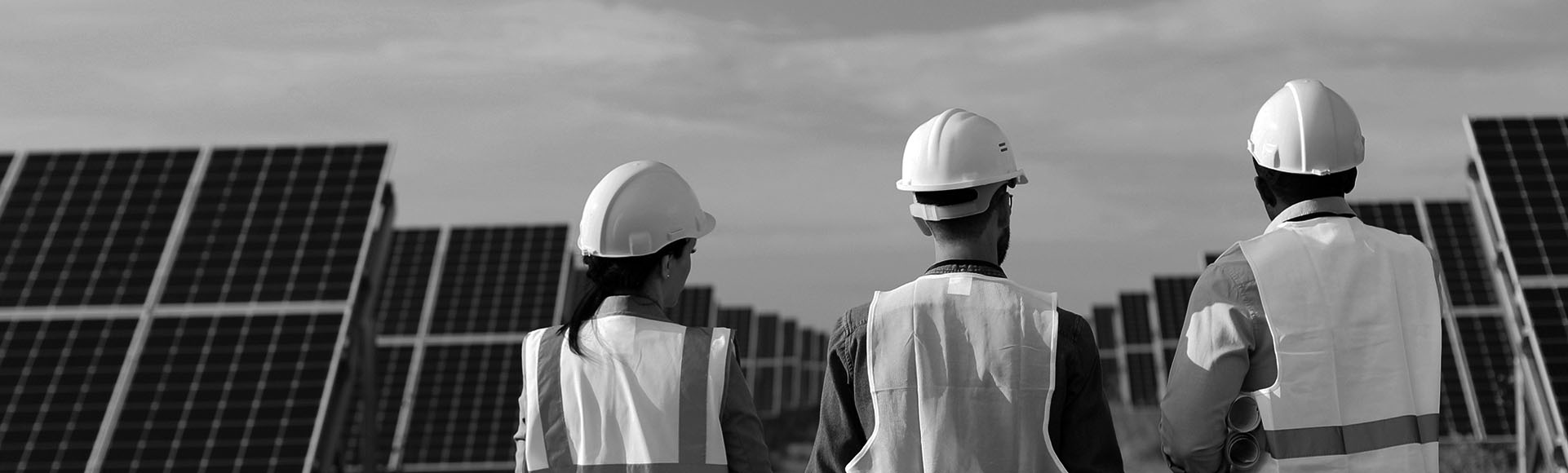 The Live Projects Hub